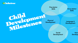 Child Development - Kokotree