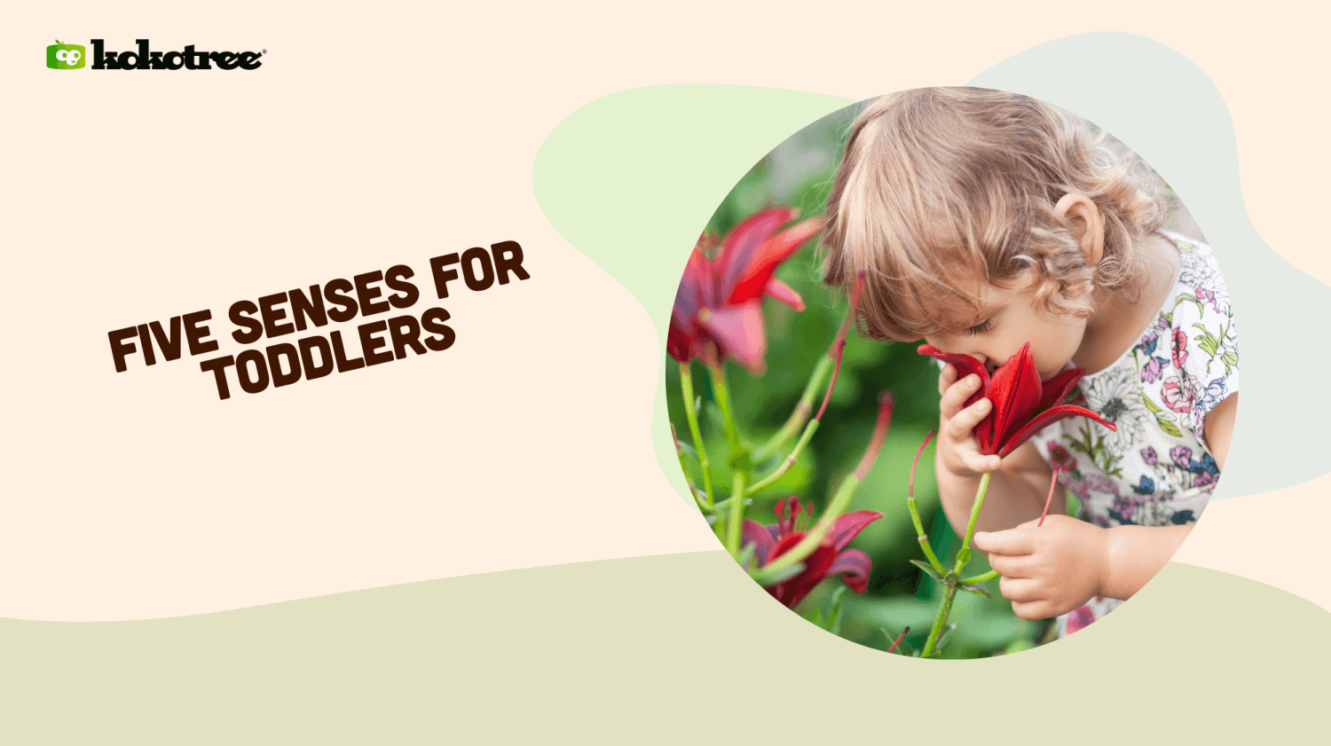 Five Senses for Toddlers - Kokotree Five Senses for Toddlers - Kokotree