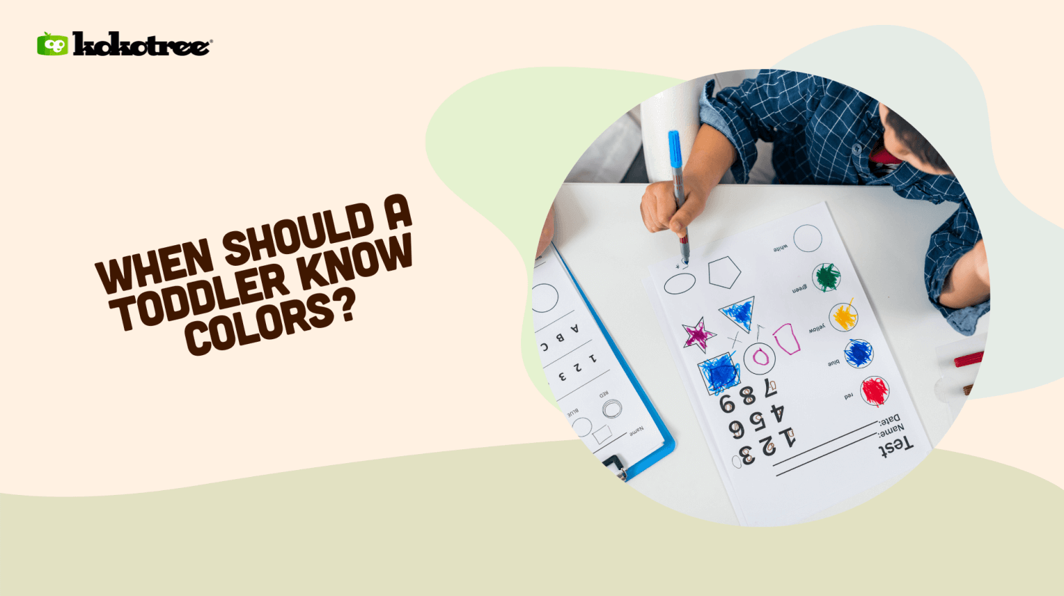When Should a Toddler Know Colors? - Kokotree