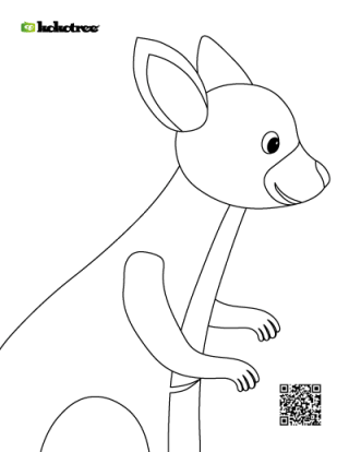 Animal Coloring Pages (Free Printable PDF) - Kokotree