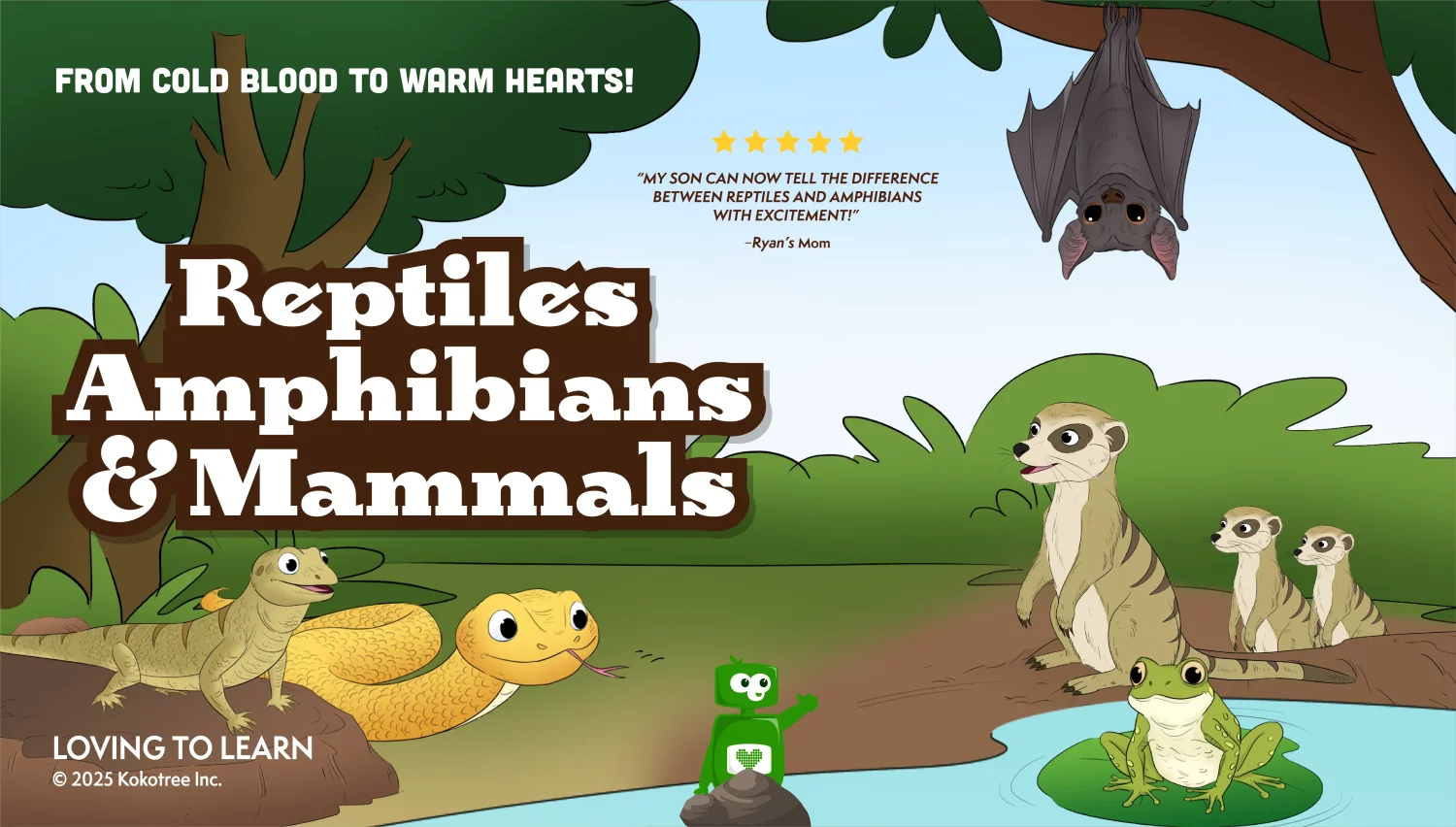 Reptiles, Amphibians & Mammals Preschool Learning Video - Kokotree